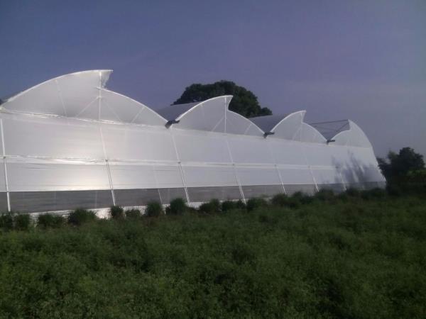 Poly House Loan Shri Ji Irrigation , Rajasthan , India