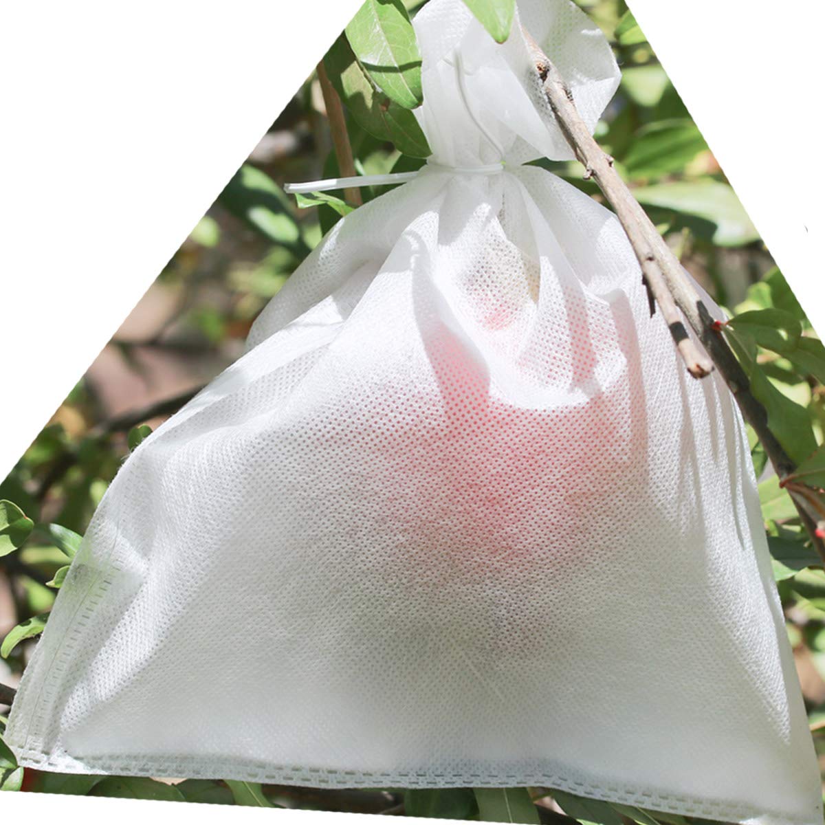 Fruit Covering Bag - Shri Ji Irrigation, Rajasthan India