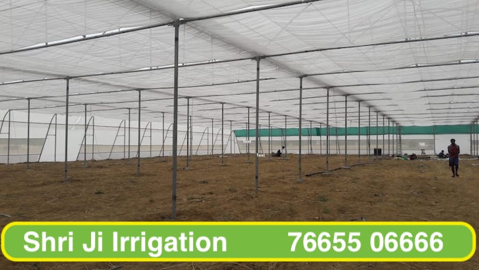 Polyhouse Subsidy Material Crop Cost Structure